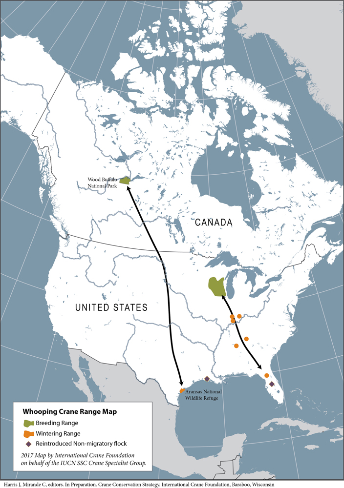 Whooping Cranes in the Eastern Population – The Journey North ...