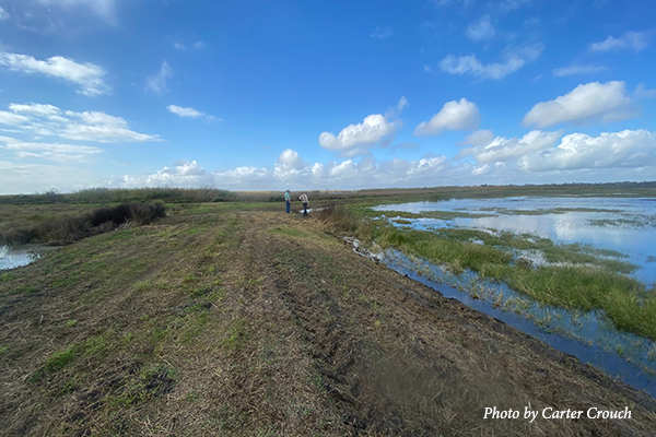 Water Purchase to Protect Endangered Whooping Cranes on Texas Coast ...