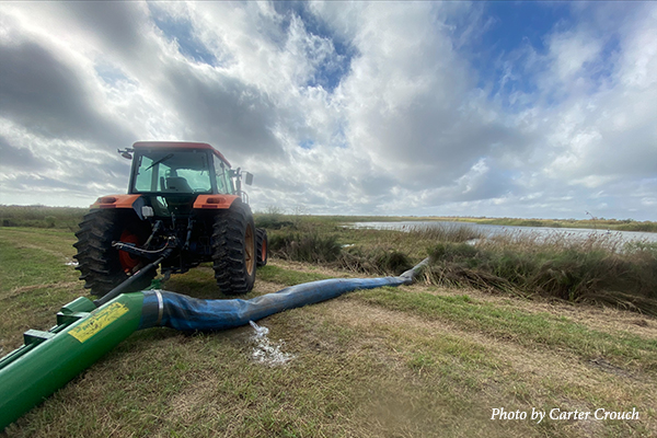 Water Purchase to Protect Endangered Whooping Cranes on Texas Coast ...