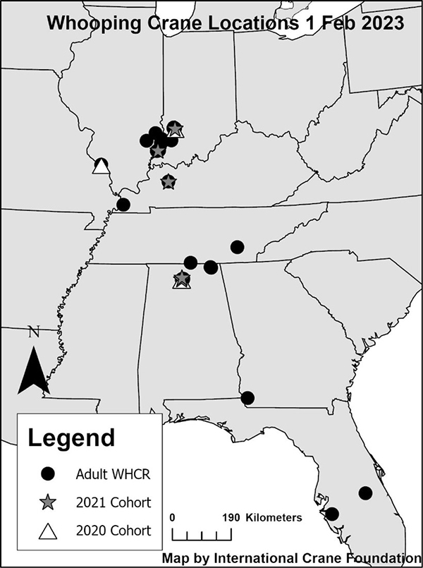 Whooping Crane Eastern Population Update – February 2023 ...