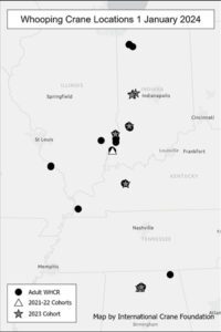 Whooping Crane Eastern Population Update – January 2024 - International ...