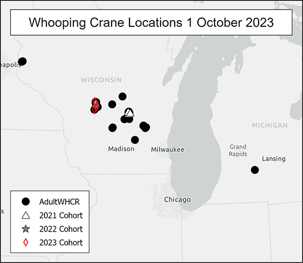 Whooping Crane Eastern Population Update – October 2023 - International ...