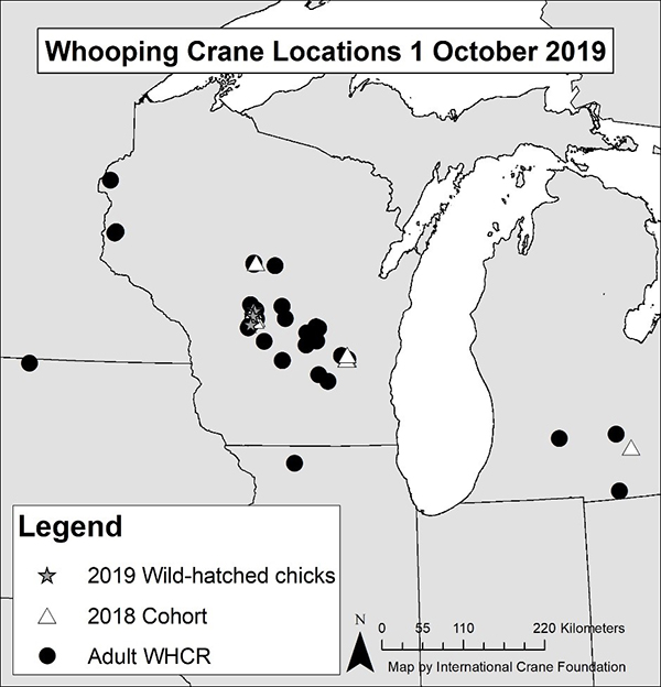 Whooping Crane Eastern Population Update – Oct 19 - International Crane ...