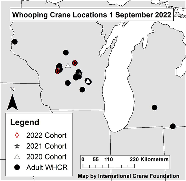 Whooping Crane Eastern Population Update – September 2022 ...