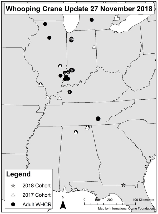 Whooping Crane Eastern Population Update – Dec 2018 - International ...