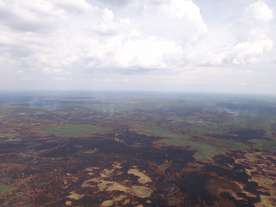 Whooping Crane Tracking Partnership - International Crane Foundation