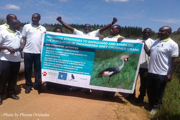 African Crane Conservation Programme shines at World Wetlands Day in ...