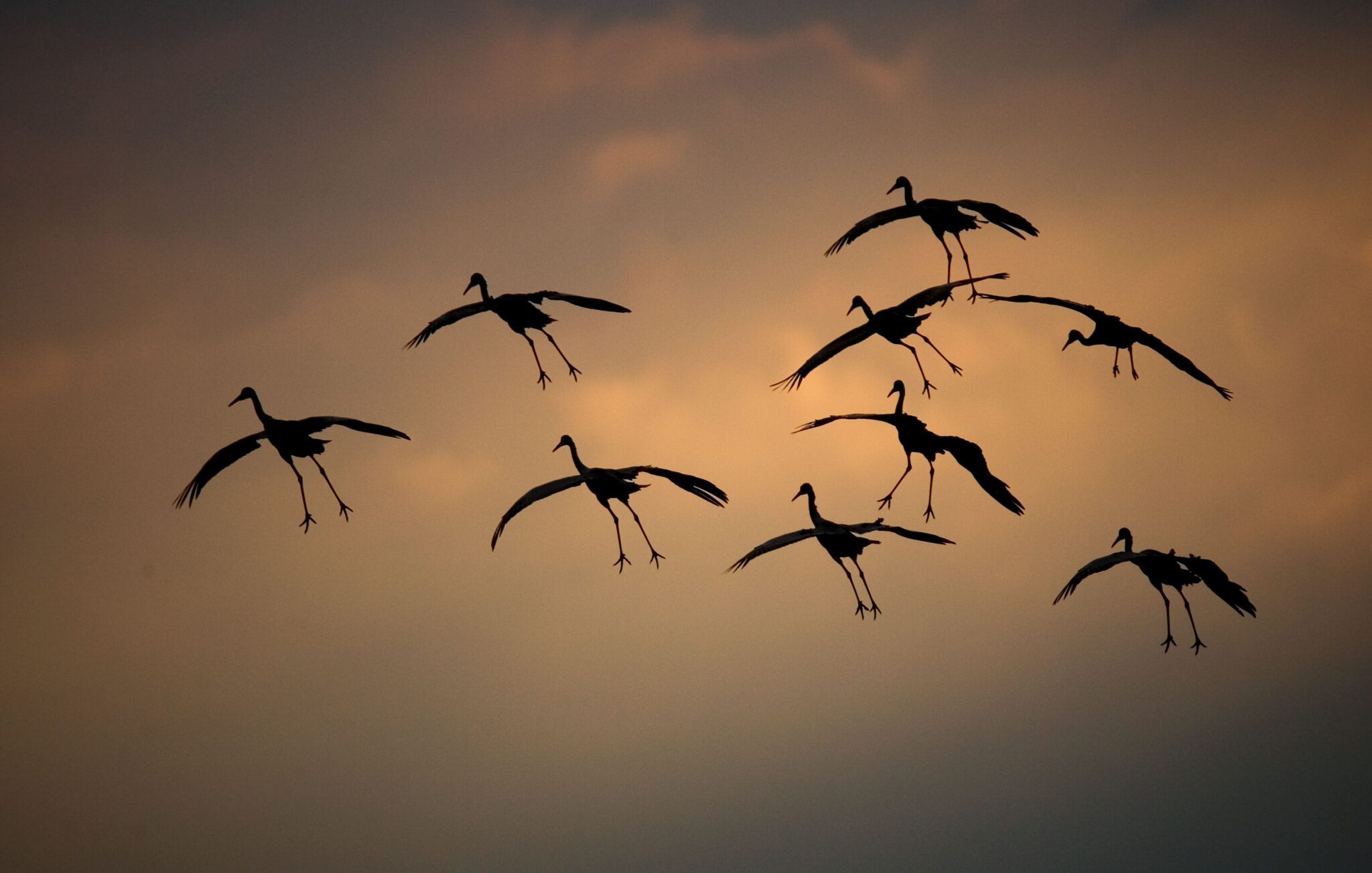 Wisconsin Governor Tony Evers proposes $3.75 million in funding for ...