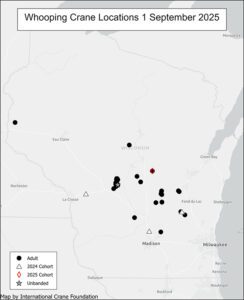 Whooping Crane Eastern Population Update - September 2025 ...