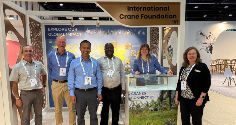 Top Ten Facts About Crane Migration - International Crane Foundation