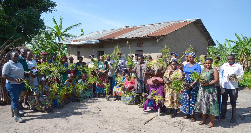 Agroforestry for a Resilient Future in Uganda - International Crane ...